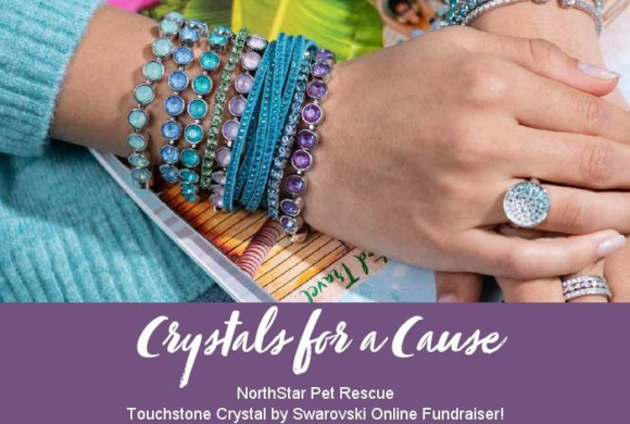 Home - Northstar Pet Rescue